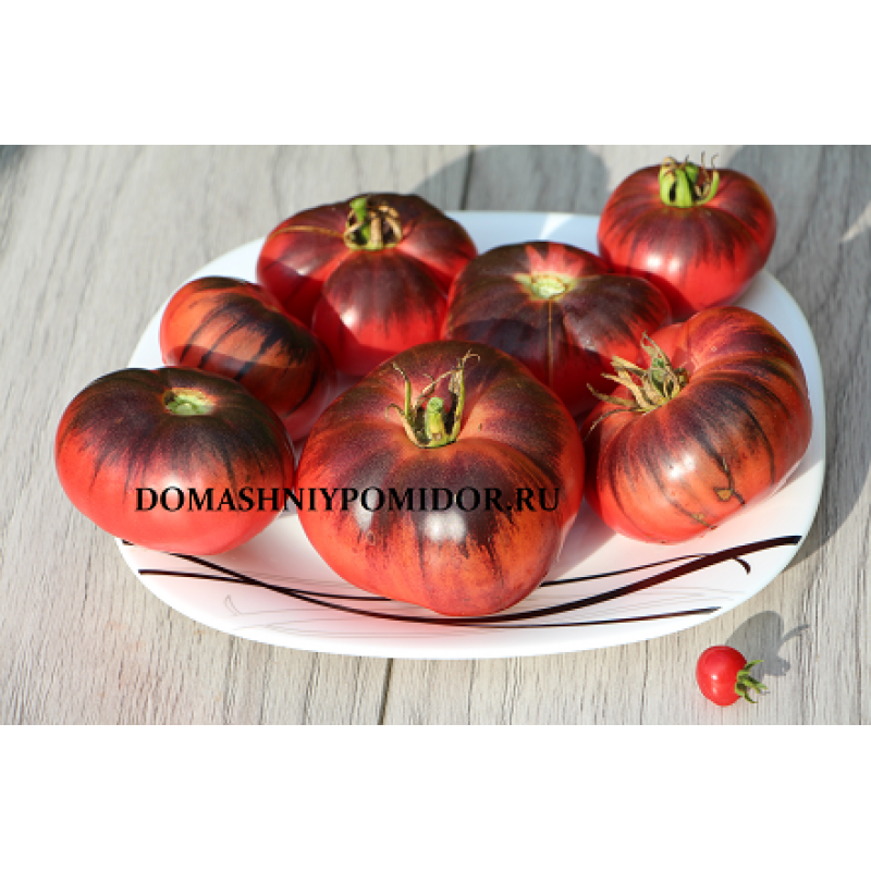 Сибирский тигр розовый